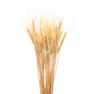 Wheat Decor | Decorative Wheat | Dried Wheat