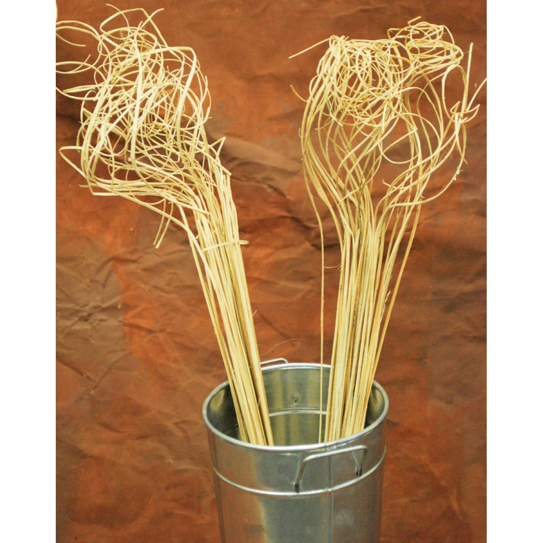 Bleached Curly Natural Ting Ting - Twisted