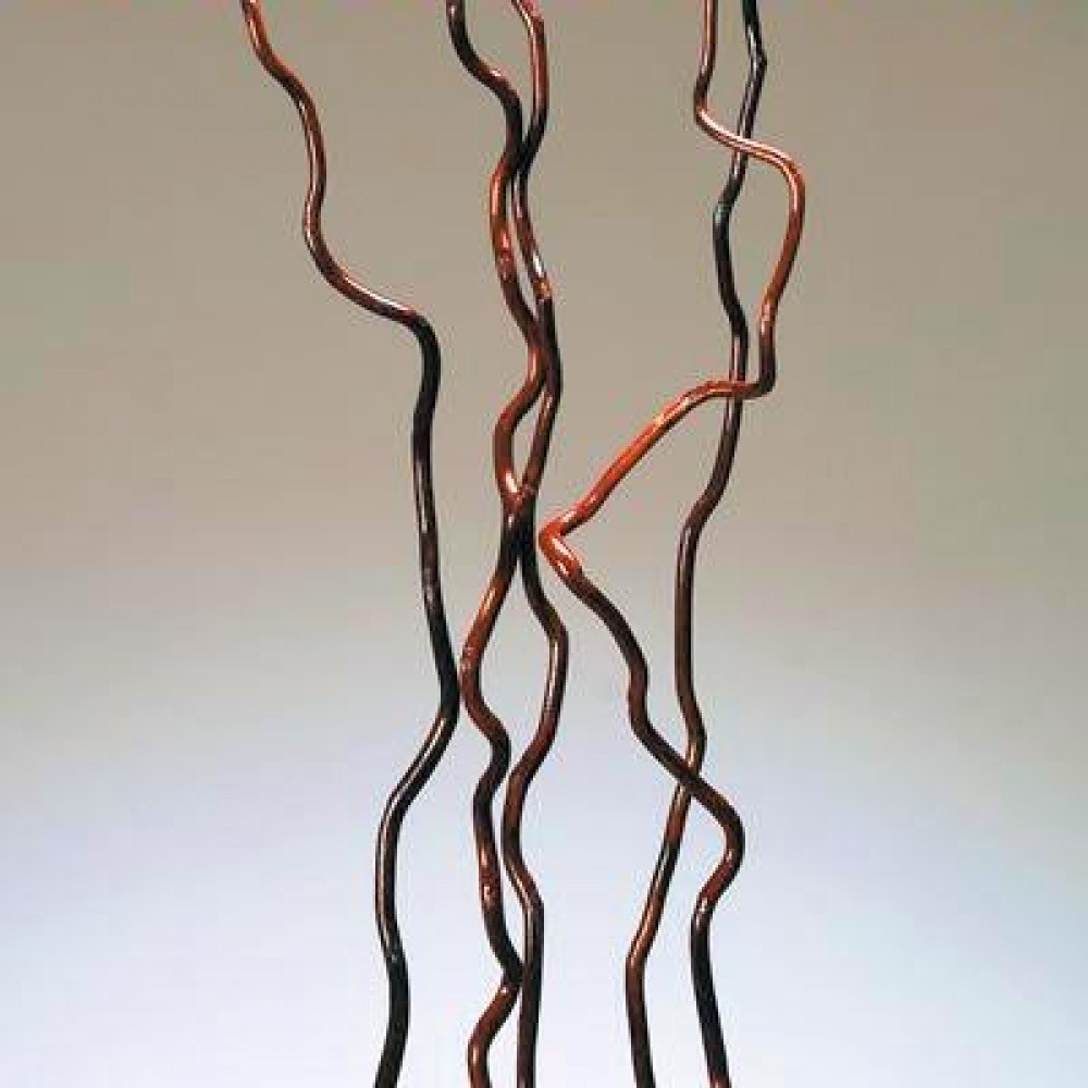 Corkscrew Willow - Cork Screw Willow branches