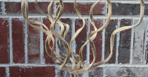Coco Lasser - Coco Lashing - Coco Finger Branches