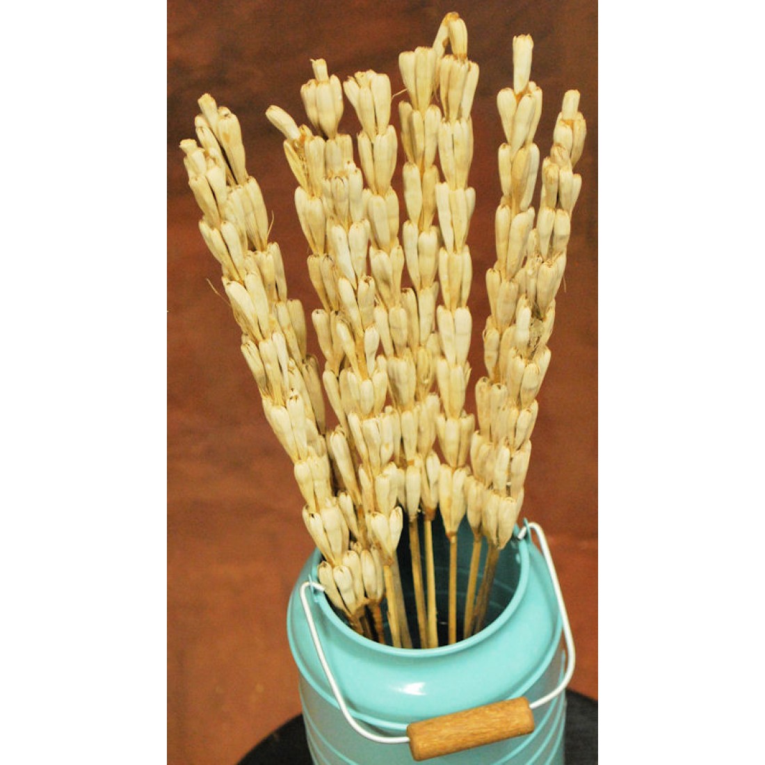 Dried Jack Sticks - Decorative Jack Stick