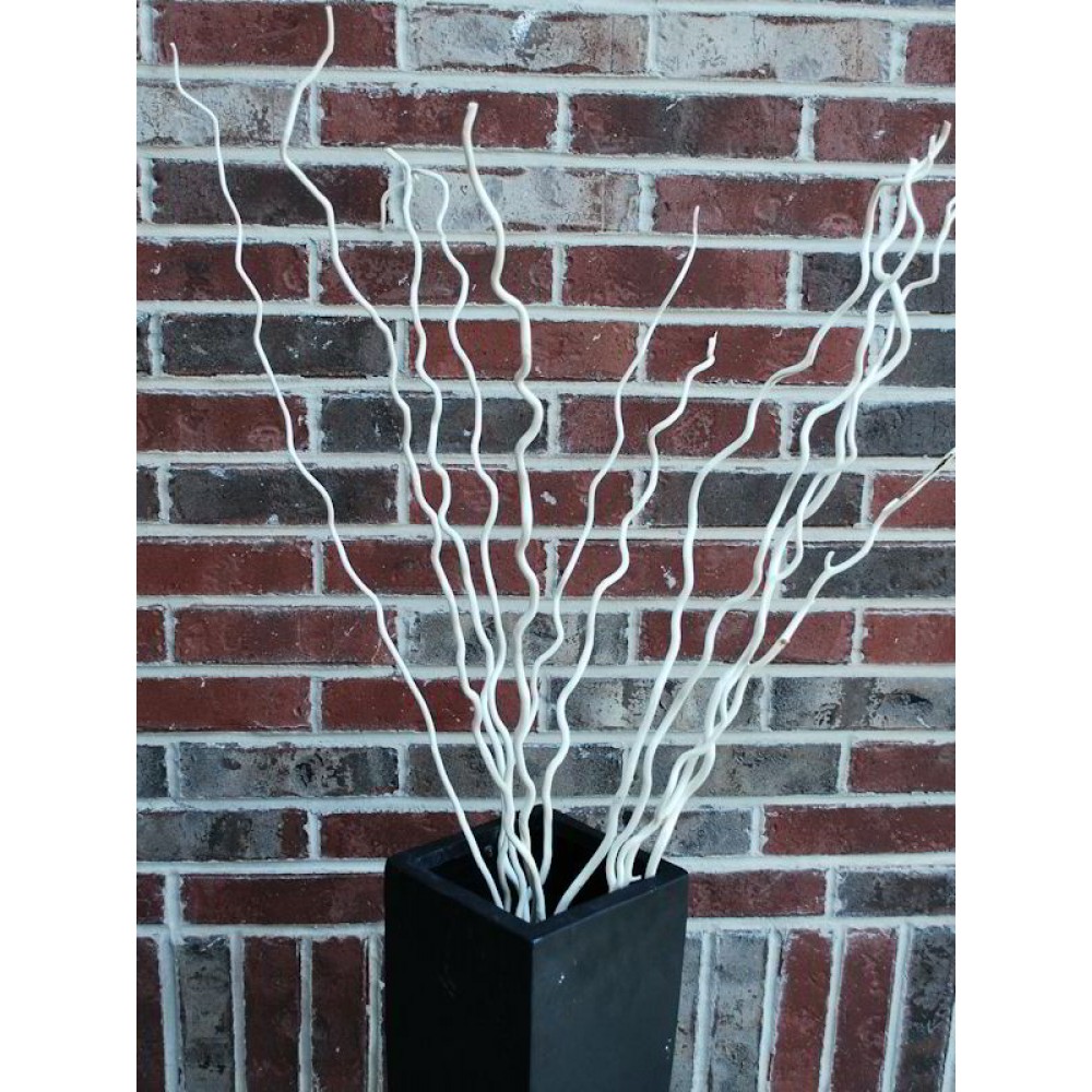 Decorative Kuwa Branches - Bleached Kuwa branches