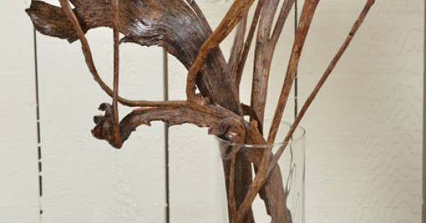 Dried Natraj Branches | Exotic Natraj Branches | Natrag Branch