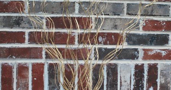 Gold Wavy Curly Ting Ting Glittered -- Wavy TingTing