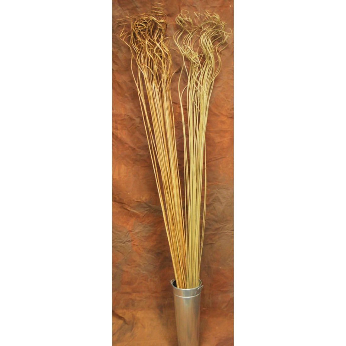 Long Curly Ting Ting Branches, Tall Curly Ting Ting