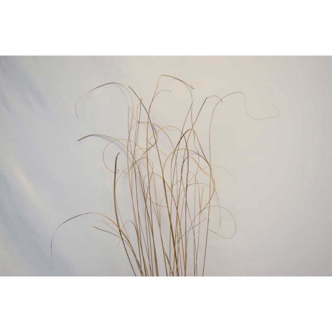 Long Straight Ting Ting Bunch - Natural