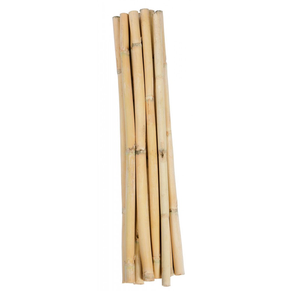 Decorative Bamboo Sticks | Bamboo Stalks for Sale