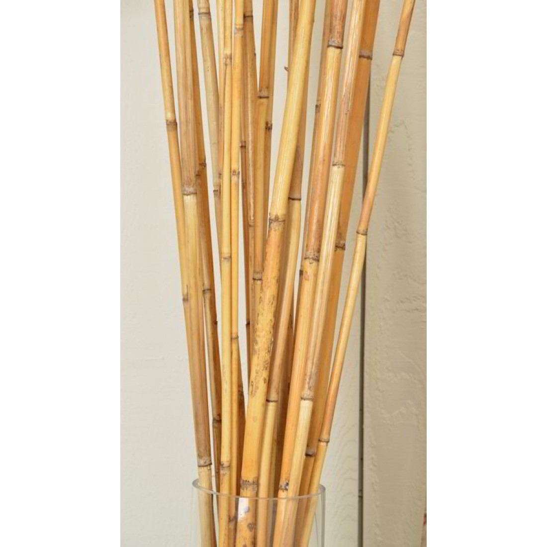 River Cane for Sale | Bamboo Canes for Sale | Decorative Bamboo Poles