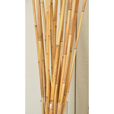 Dried Natural Bamboo Stalks - Dried Bamboo Sticks - Long Stem Bamboo
