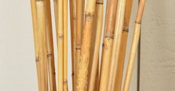 River Cane for Sale | Bamboo Canes for Sale | Decorative Bamboo Poles