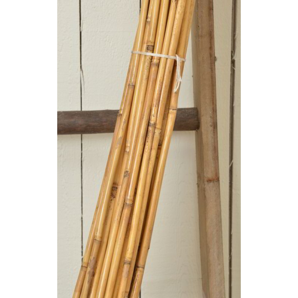 River Cane for Sale | Bamboo Canes for Sale | Decorative Bamboo Poles