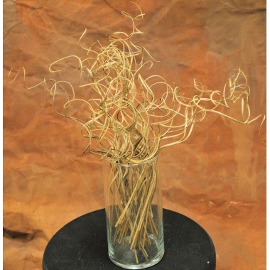 Dried Natural Curly Ting Ting Branches