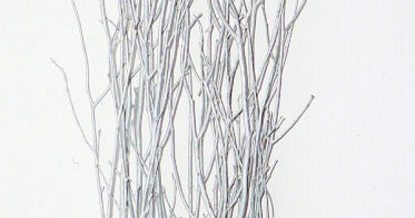 Silver Birch Branches | Silver Branches for Centerpieces