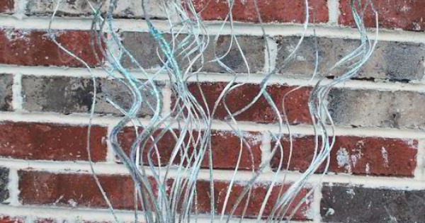 Wavy Curly Ting Ting Glittered -- Wavy TingTing