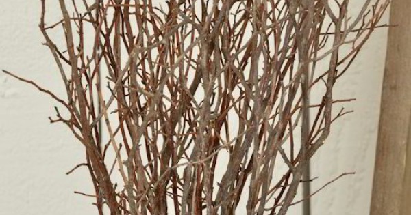 Sweet Huck Branches - Natural Huckleberry