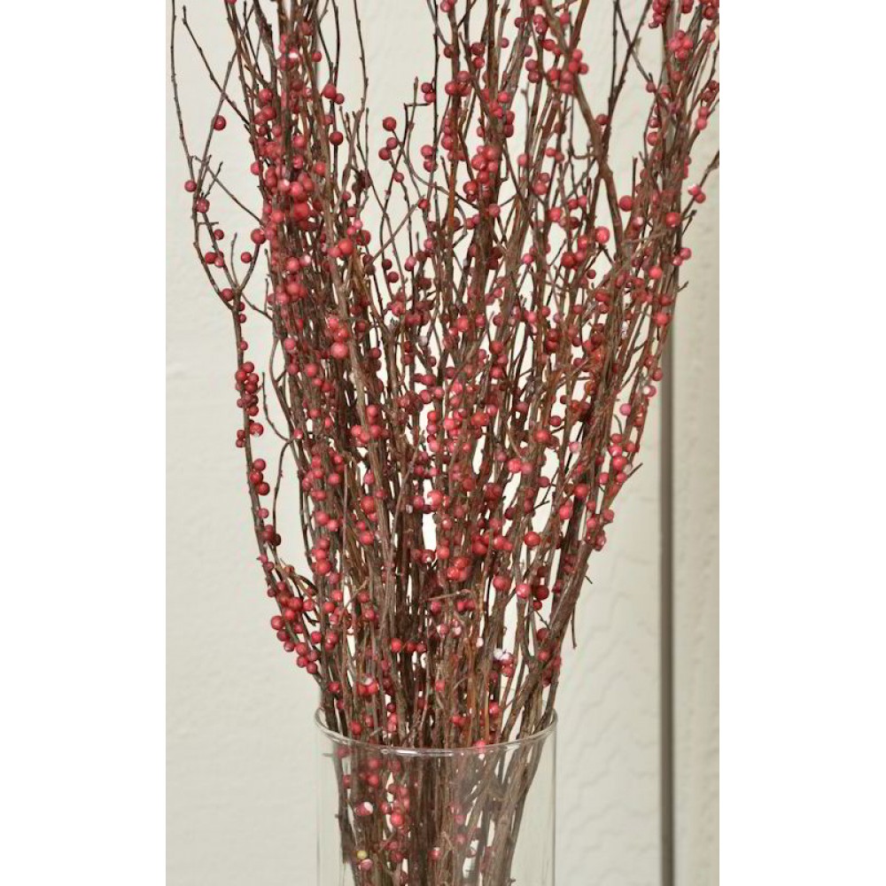 Red Berry Sweet Huck Branch