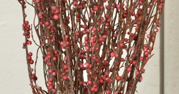 Red Berry Sweet Huck Branch