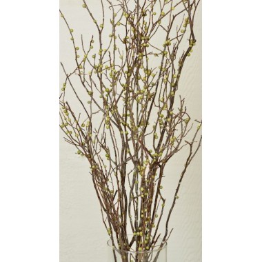 Sweet Huck Branches - Natural Huckleberry
