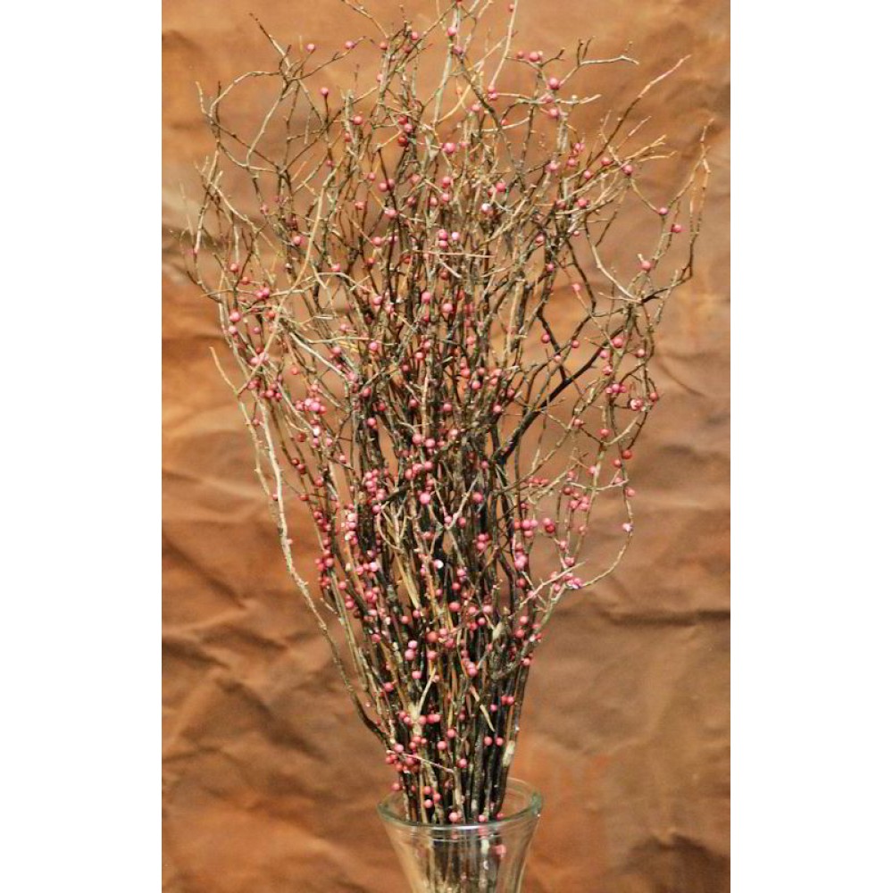 Red Berry Sweet Huck Branch