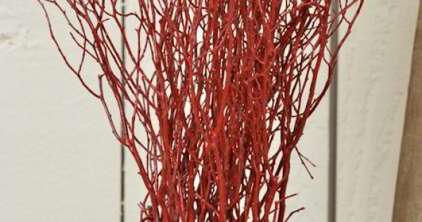 Sweet Huck Branches - Fire Red 8oz Huckleberry bunch