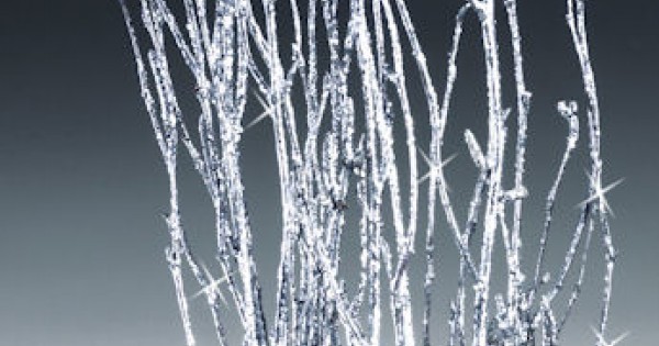 White Birch Branches | Glitter Branches | White Birch Decor