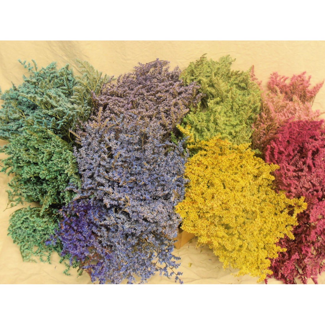 Dyed German Statice, colored german statice