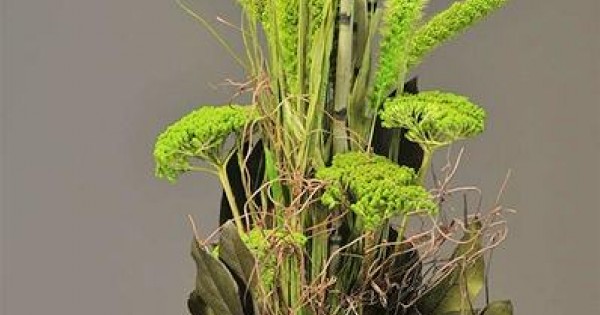 China Millet Green Bouquet