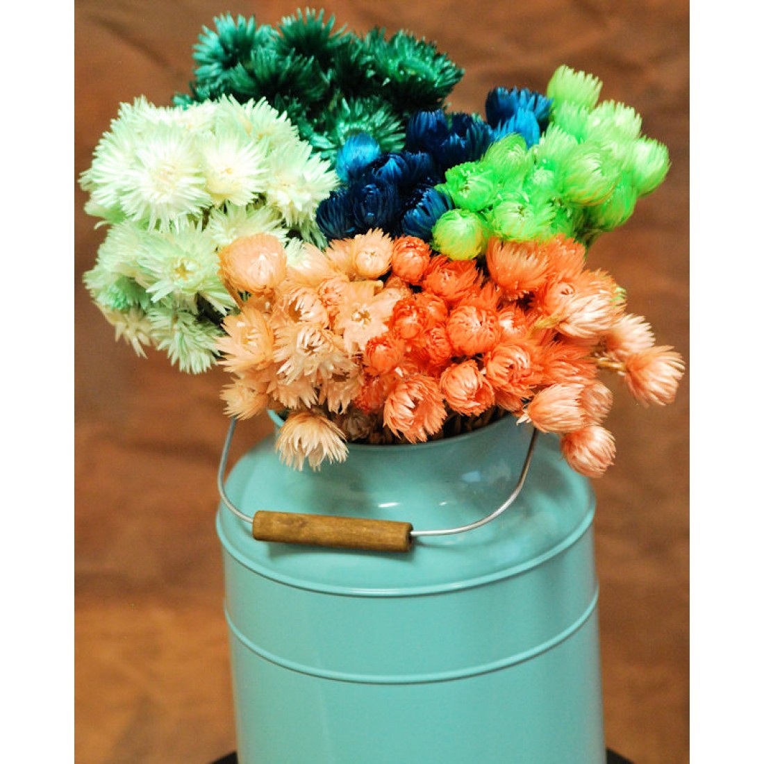 Dyed Everlasting Flowers - Dried Helichrysum