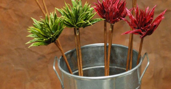 Dried Mum Flowers - 6 Mum Flower Stems