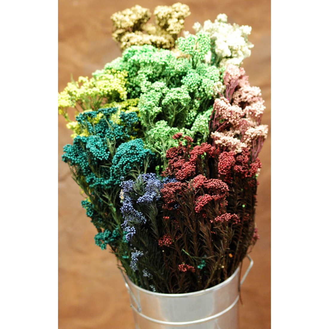 Dried Rice Flower Bunch - Colored