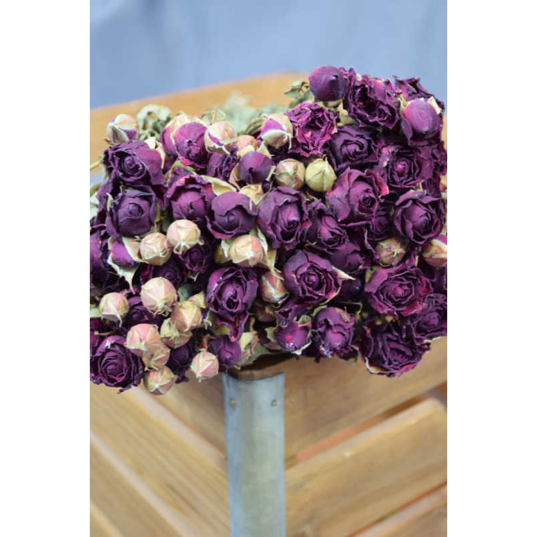 Mini Dried Rose Bouquet Red | Dried flower wedding bouquet | Dried ...