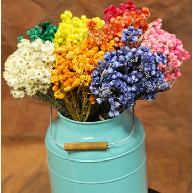 Dried Everlasting Flowers - Natural Helichrysum