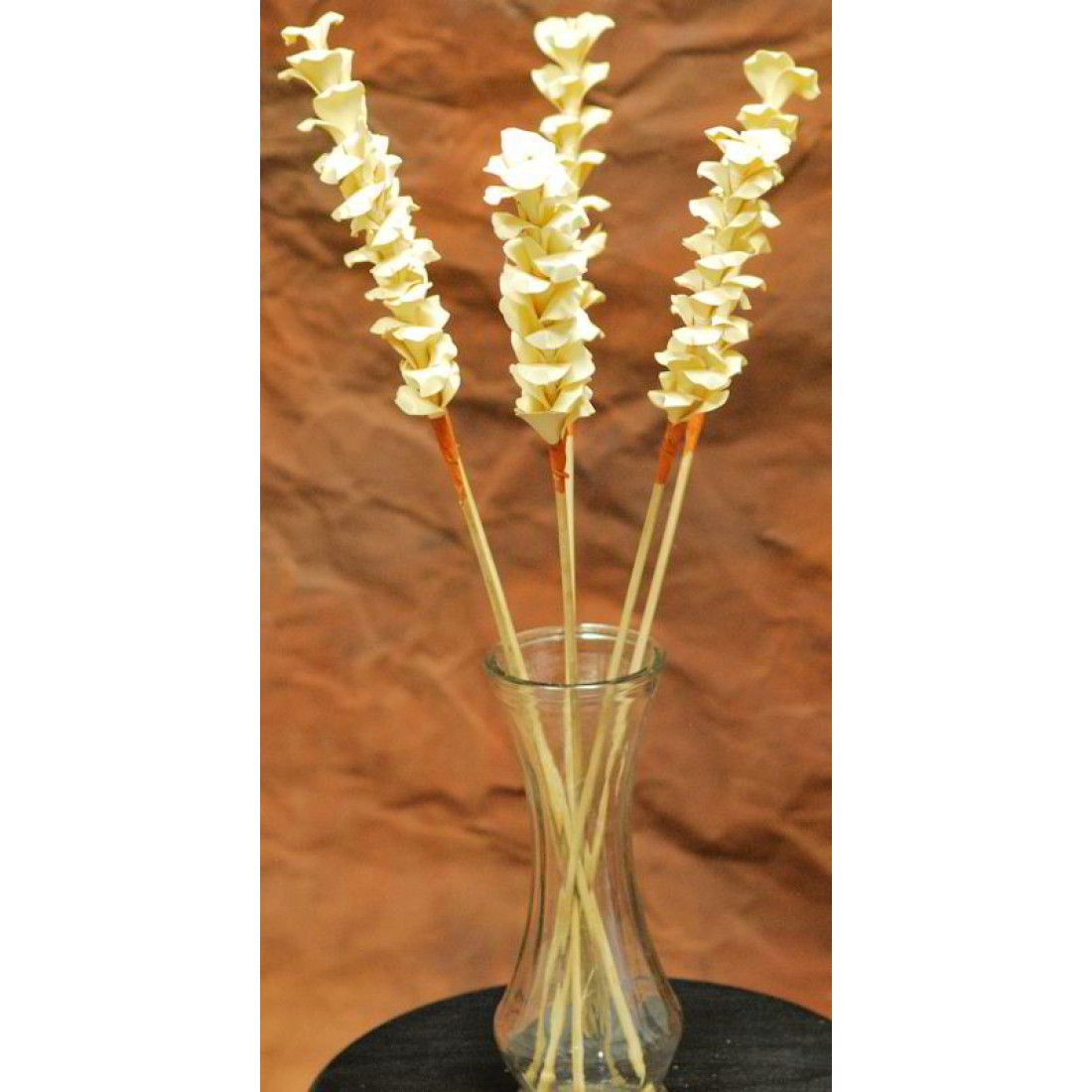 Palm Bloom Flower Stick-Dried Palm Pine Sticks