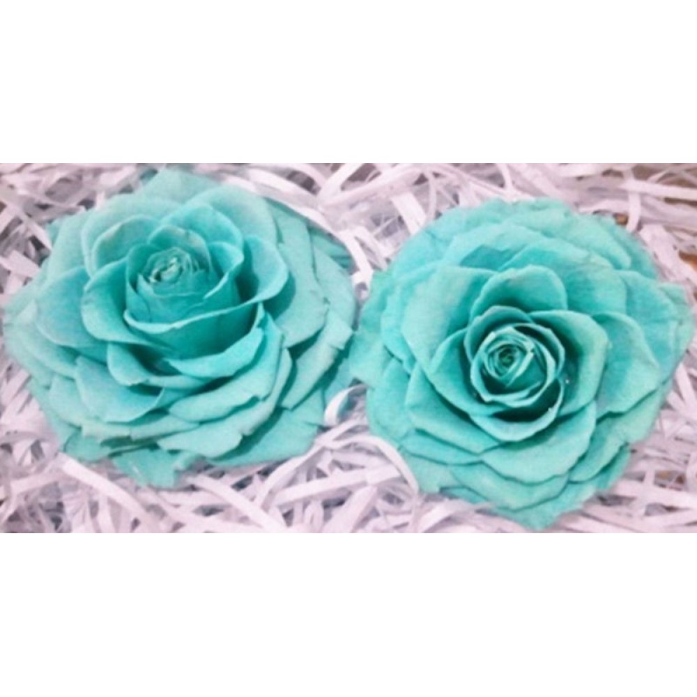 Preserved Roses - Extra Large Roses - 2 per Order - Colors