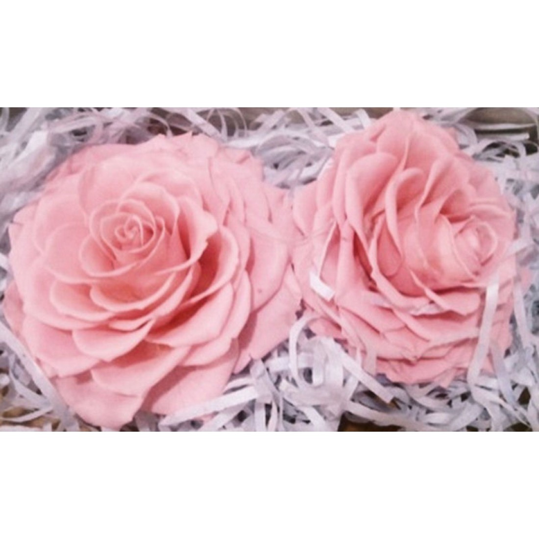 Preserved Roses - Extra Large Roses - 2 per Order - Colors