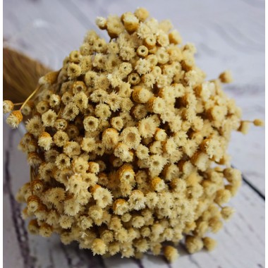 Dried Floral Button Flowers - Decorative Floral Buttons