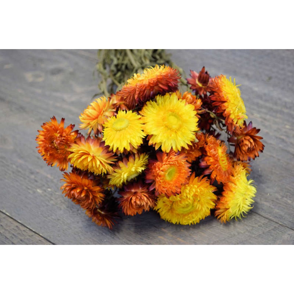 Dried Strawflowers Bouquet - Sunset