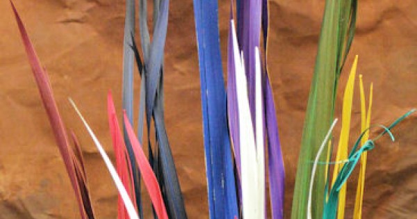 Dried African Flax / Colored Sabel Palm