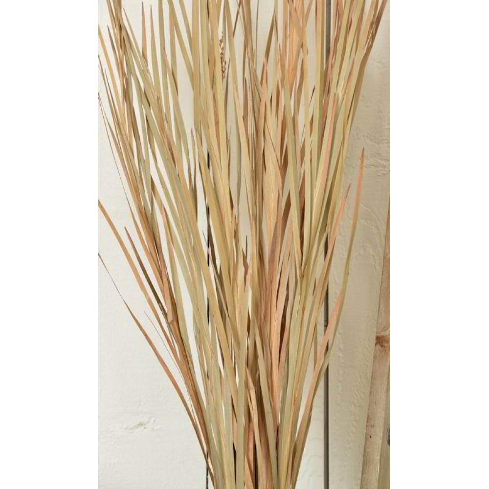 Dried Ornamental Wild Grass - Natural Wild Grass