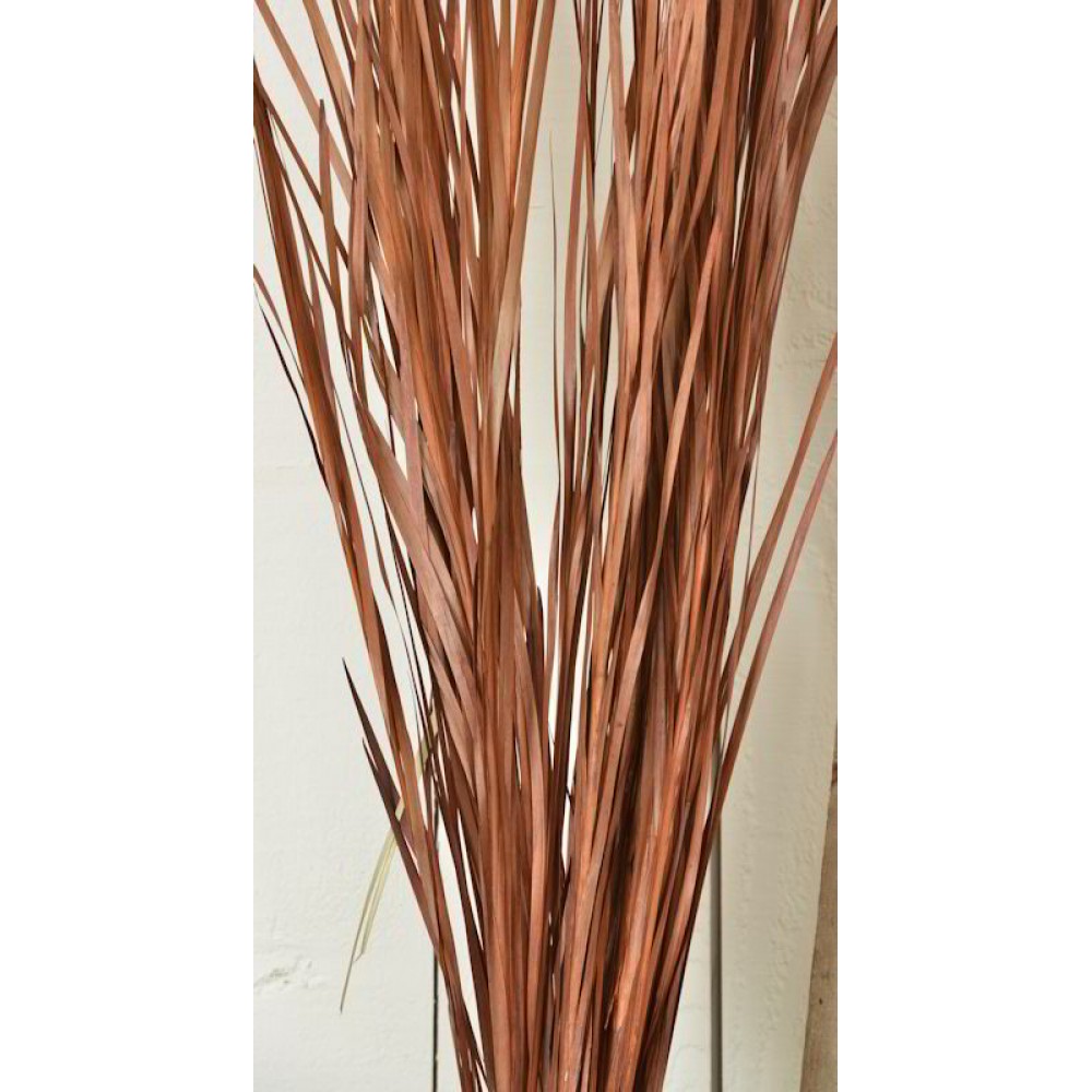 Dried Ornamental Wild Grass - Natural Wild Grass