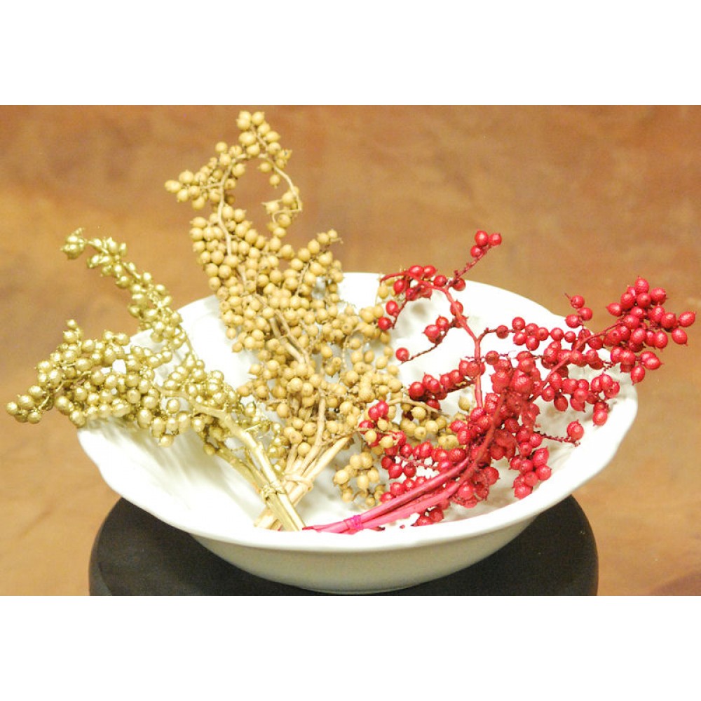 Dried Canella Berries - Decorative Bunch