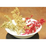 Dried Canella Berries - Decorative Bunch