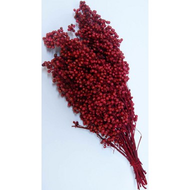 Dried Tallow Berries - Decorative Tallow Berries