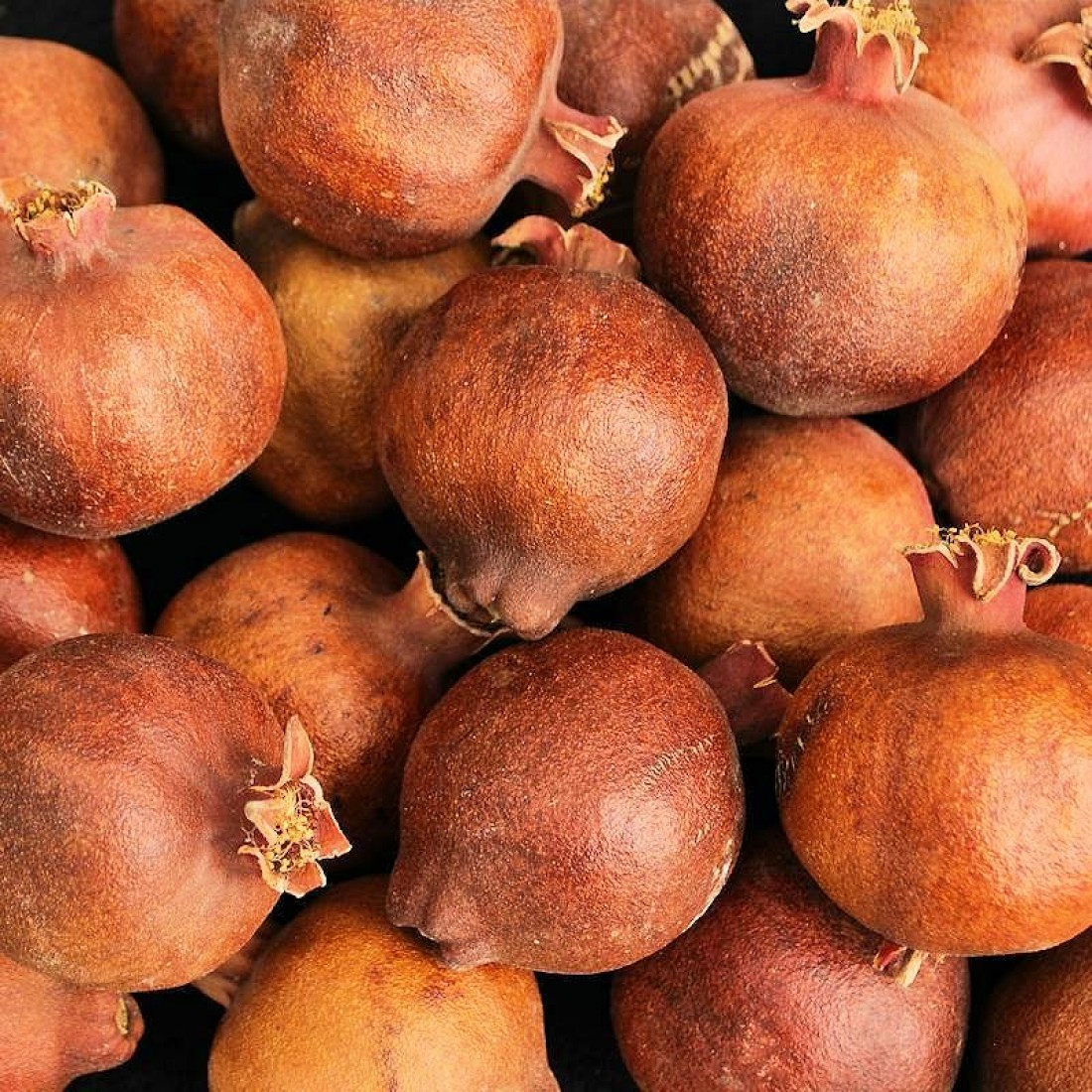 Dried Pomegranates For Sale | Dried Pomegranate Decoration