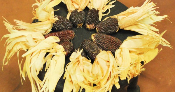 Dried Strawberry Indian Corn - Red Indian Corn