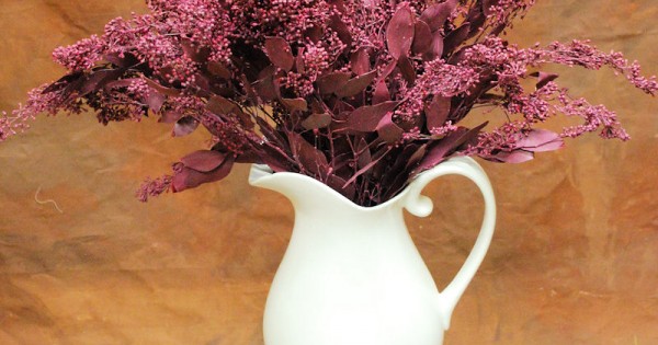 Eucalyptus Branches, Preserved Eucalyptus, Dried Eucalyptus