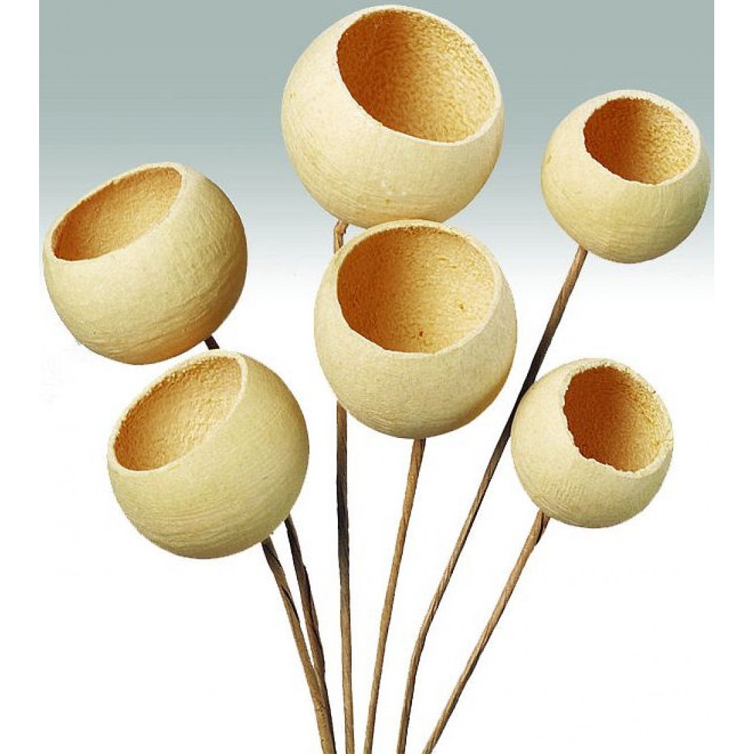 Decorative Bell cups