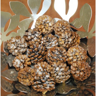Large Slash Pine Cones - Natural