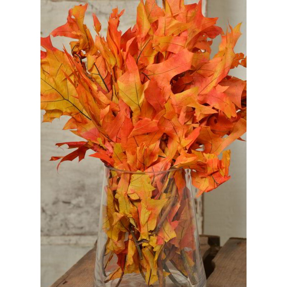 Preserved Autumn Oak Leaves, 1LB Decorative, Pressed, Dried Leaves