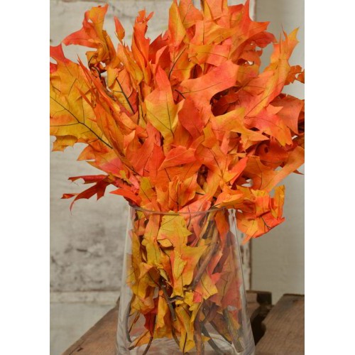 Dried Oak Leaves, Salal (Lemon Leaf), Preserved Decorative Leaves